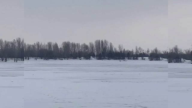 Воспоминание весны 2024 год.