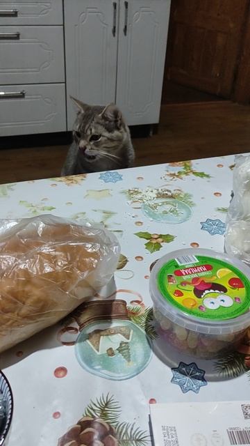 Наглый кот Евсей