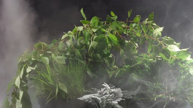 Tecnovap WeedKilling