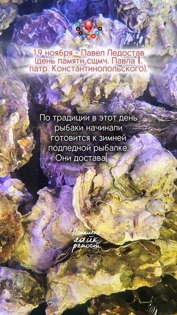 Традиционно в этот день...