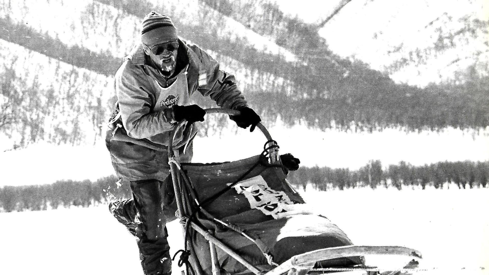 1994 год. Гонка на собаках "Берингия". Второй этап. Через Пиначевский перевал.