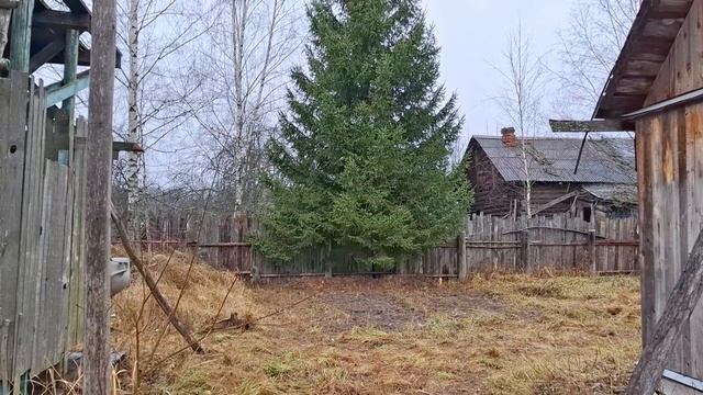 Видеоосмотр участка. Середина ноября