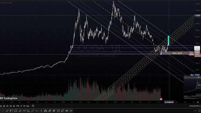 СОСОА. А что если?