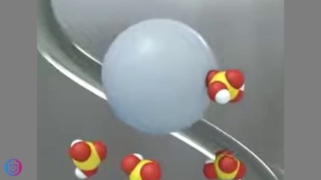 Когнитивная Витаминка № 286