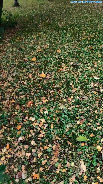 2025 09 28 ФОТО ДНЯ 4К.mp4