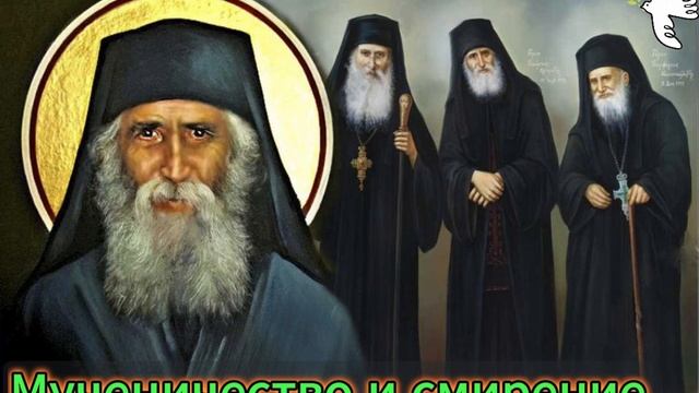 Паисий Афонский. Мученичество и подвижничество. #паисий #молитва #жертвенность
