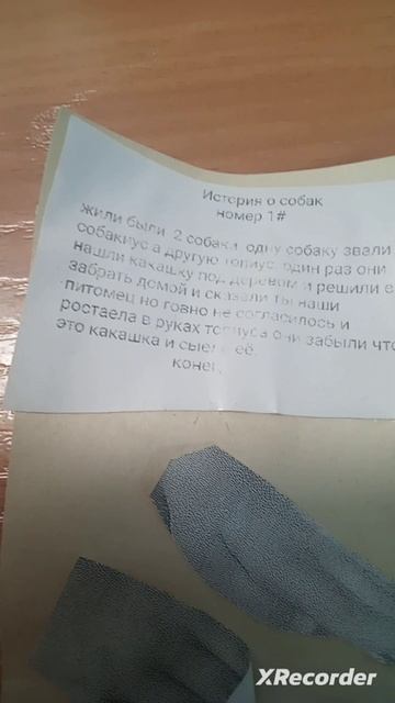 смешные котята 11