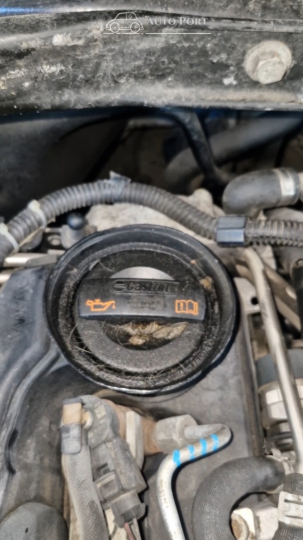 Жесть на СТО или крысы облюбовали Audi Q5 и Лада Largus. #shorts