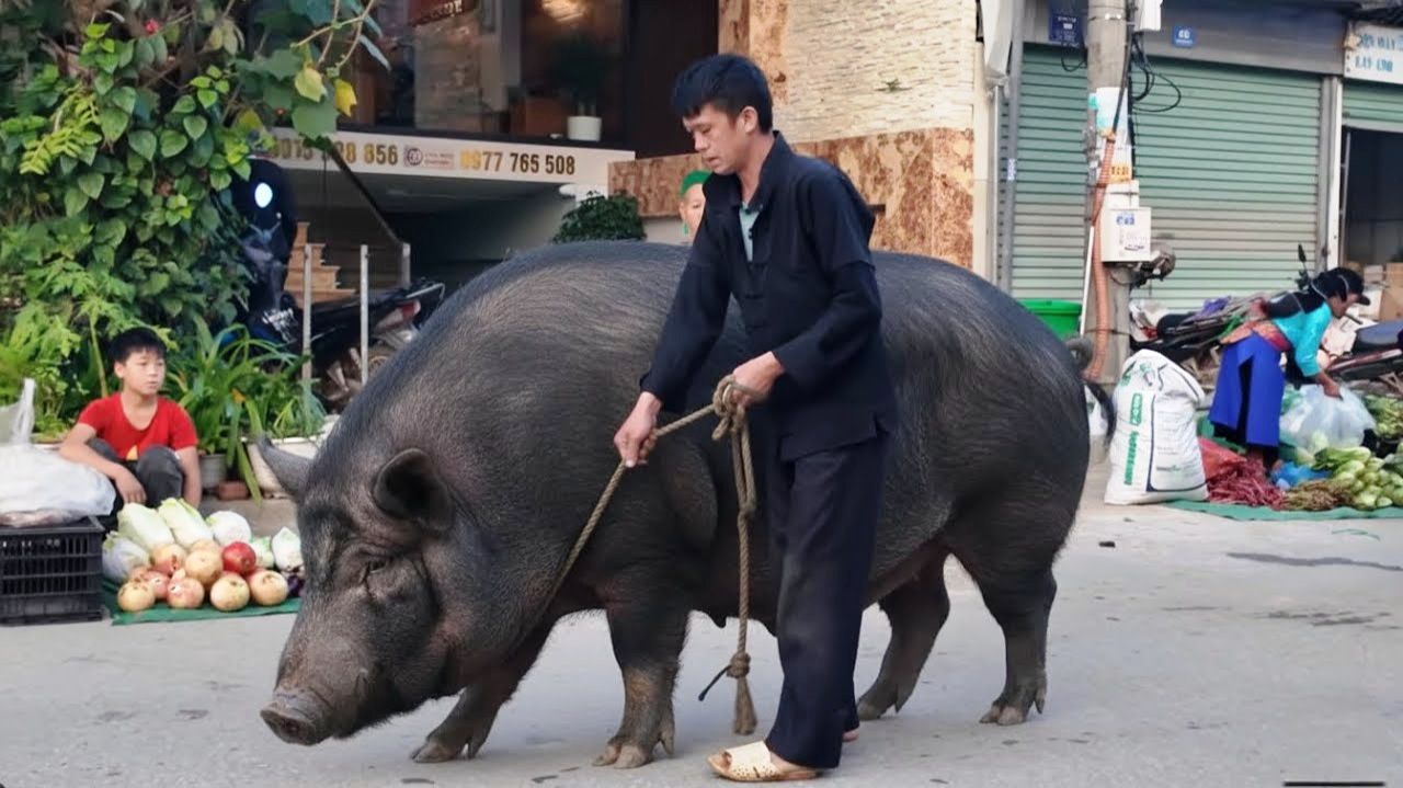 Традиционный рынок на границе Вьетнама и Китая: яркая торговля, культура и этнические меньшинства