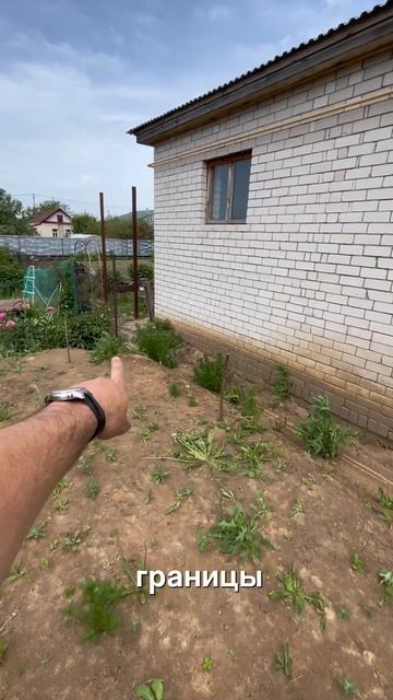 Осмотр участка перед строительством #shorts #строительствосипдомов