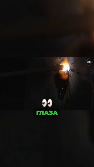 Испытание Ligans электродов