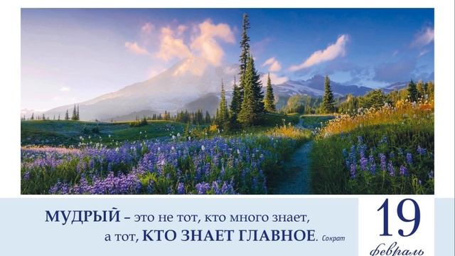 Мозг и Интернет: Почему Важна Информационная Диета?