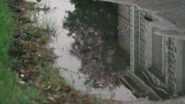 Век другими глазами ВОС