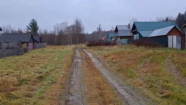 Прогулка по улице поселка Мезиновский