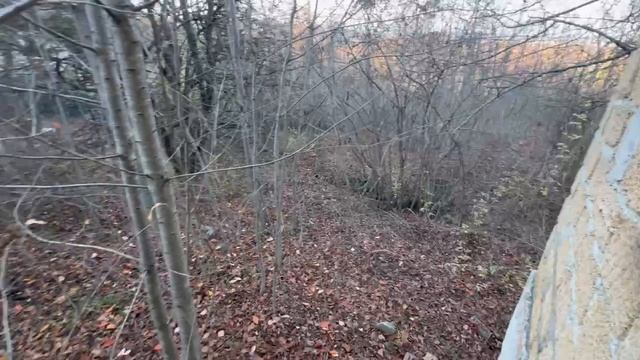 ОСМАТРИВАЮ ДОМИКИ ПОД РЕКОНСТРУКЦИЮ! МРАМОРНОЕ! СВЕТ ЗАВЕДЁН! ЛЕС 50 МЕТРОВ! КРЫМ 2025! 2 ЗАЕЗДА!