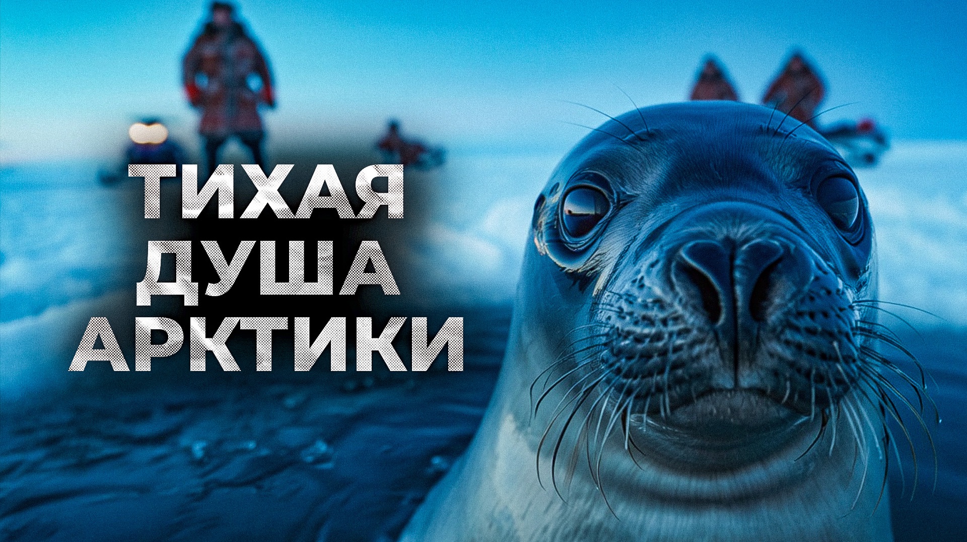 НЕРПА: главный хитрец Арктики. Как она обманывает врагов и выживает в аду льдов