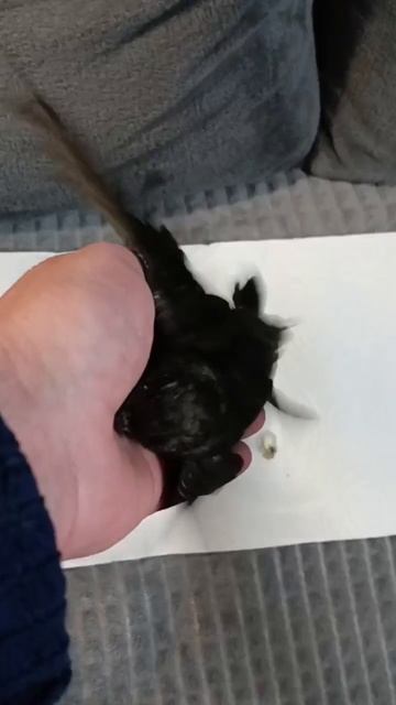 Тренировки ПМЖ