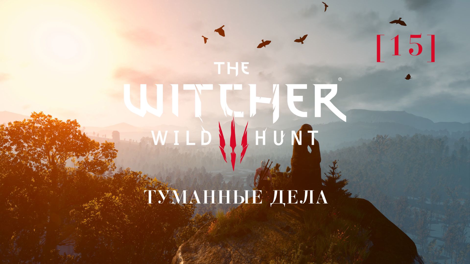 Ведьмак 3: Дикая охота | 15 | Туманные дела