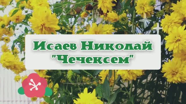 Николай Исаев  -  "Чечексем"