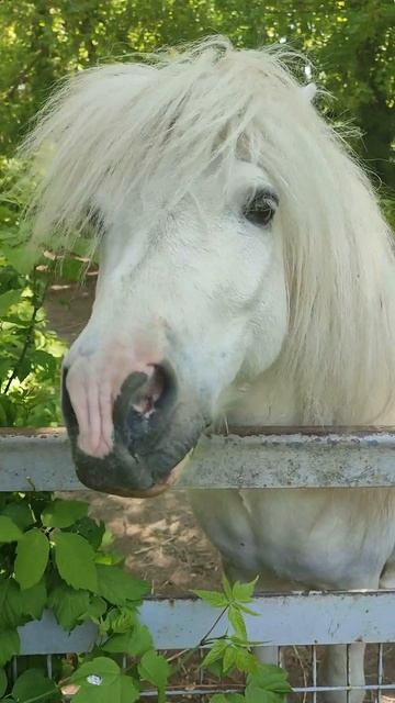 Доброе  утро! 🌞