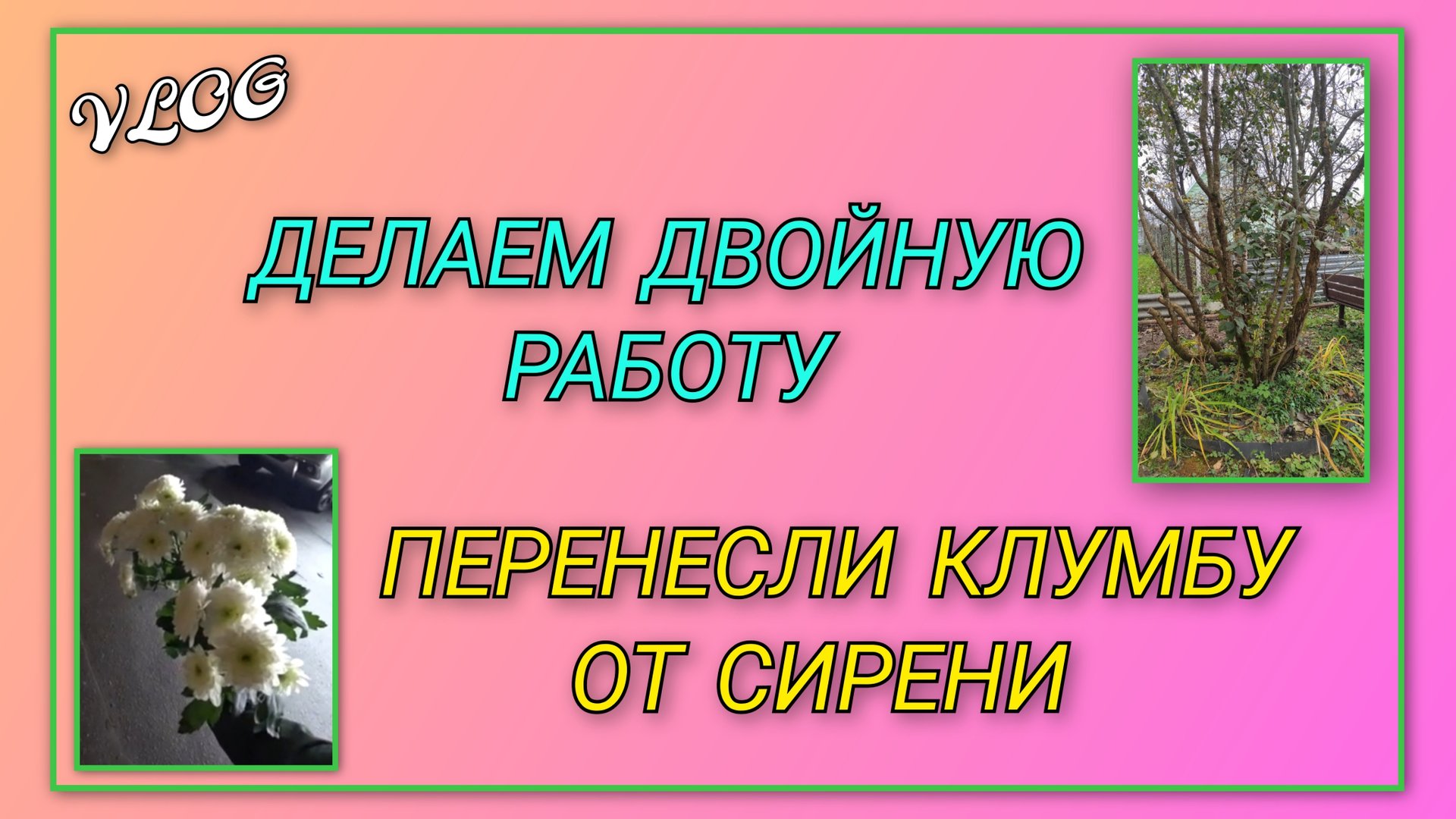 🍒 Пересаживаем с места на место, делаем двойную работу/ Перенесли клумбу от сирени в другое место