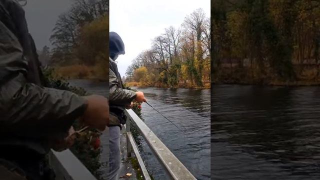 дождь ветер сыро и холодно. Рыбалка не удалась_(.