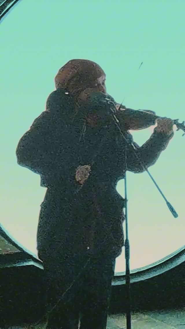 Красивое живое исполнение "Je t’aime" с классической скрипкой, певица Алина Герц