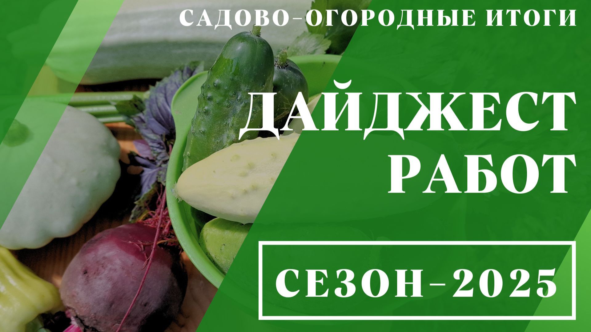 Дайджест работ // сезон - 2025