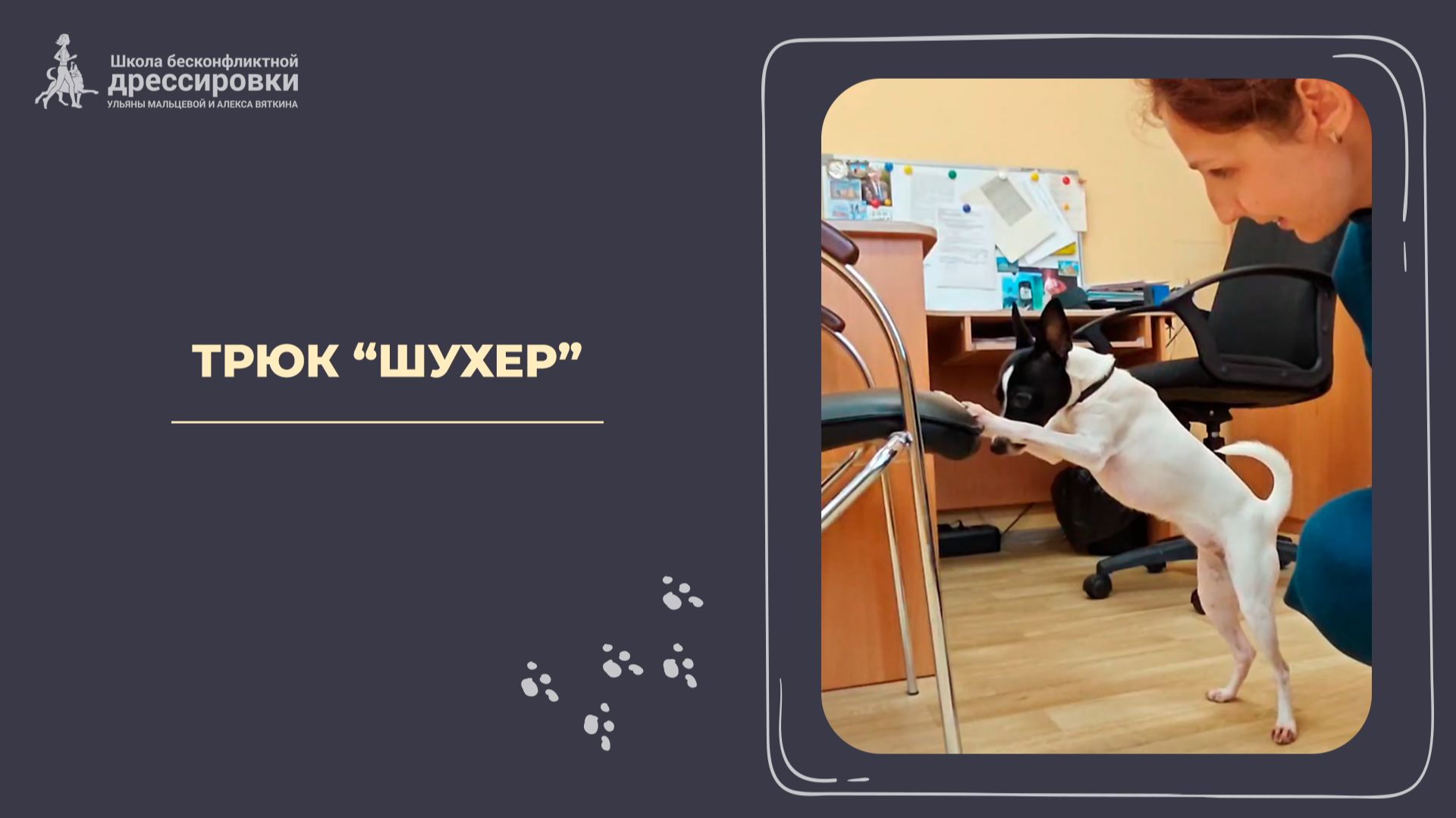 Учим трюк "Шухер"