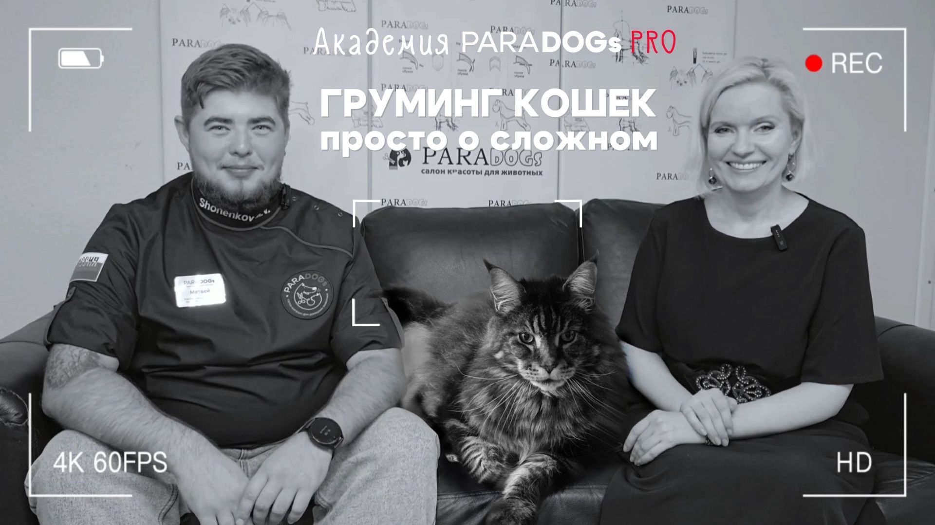 Груминг кошек Подкаст «Академия PARADOGs PRO»