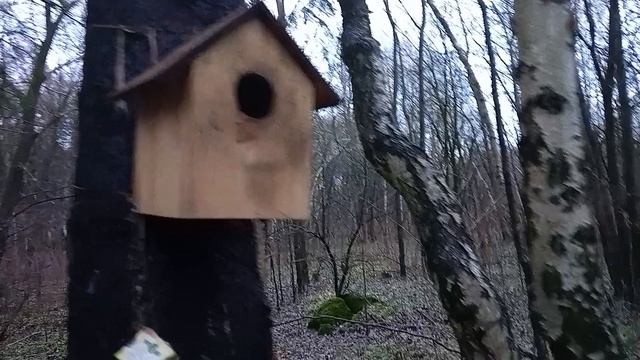 Прогулка по аллее лесопарка "Бицевский лес " , красивые кормушки для белочек и птиц
