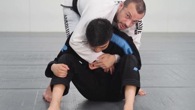 Back Takes - Seated Turtle