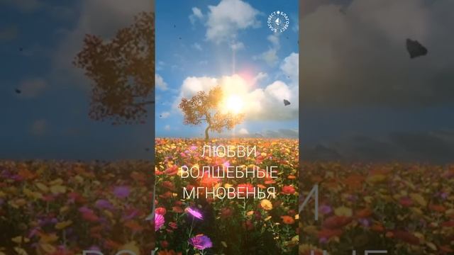#БВ ✴ ЛЮБВИ ВОЛШЕБНЫЕ МГНОВЕНЬЯ