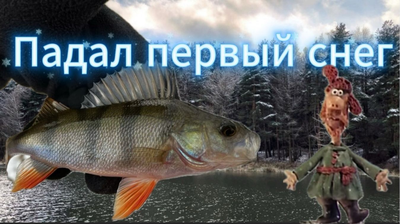 Рыбалка в тишине первого снега: окунь на микроджиг