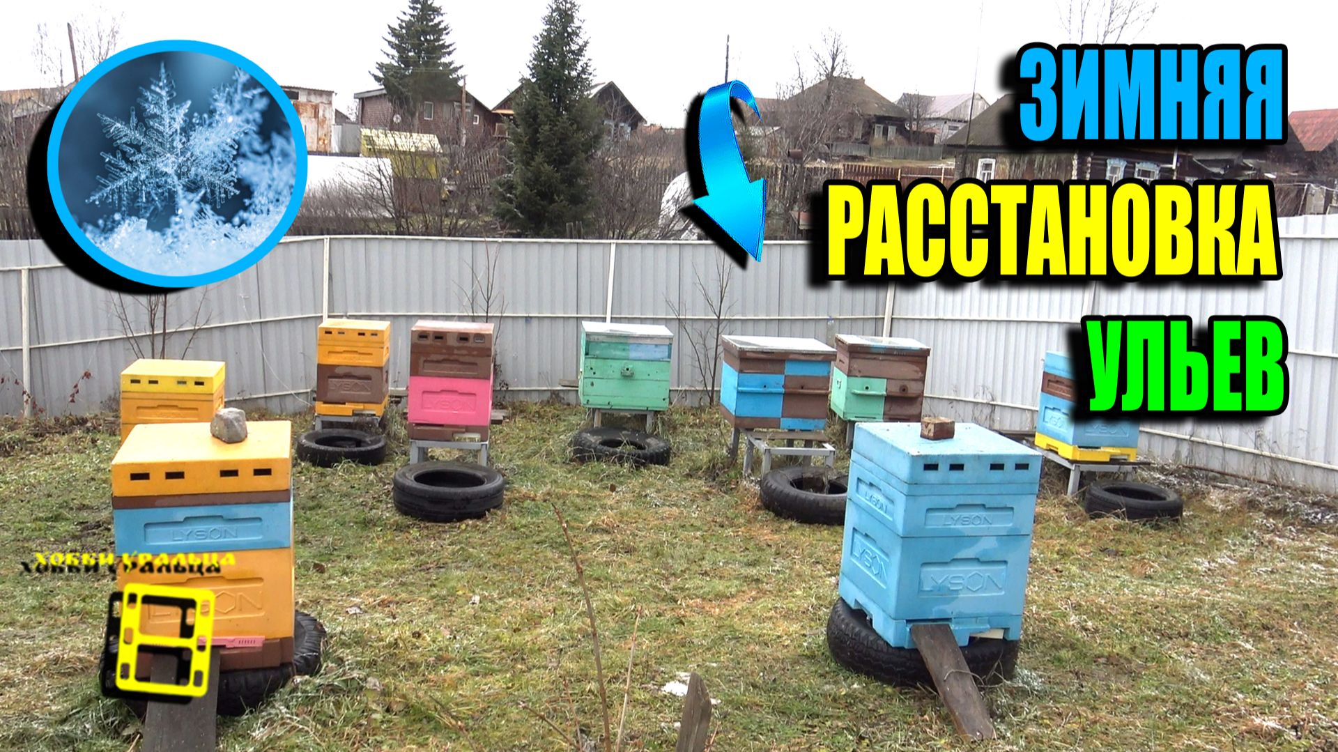ВРЕМЯ РАССТАНОВКИ УЛЬЕВ НА ПАСЕКЕ ДЛЯ ЗИМОВКИ НА УЛИЦЕ. ПЧЕЛОВОДСТВО 25-39
