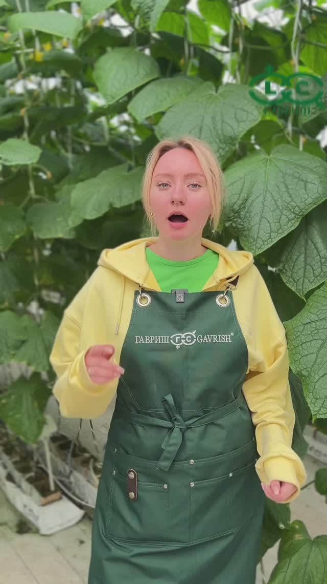 КАК СОХРАНИТЬ ТЫКВЫ И КАБАЧКИ НА ЗИМУ?