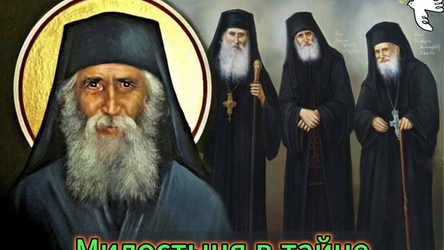 Паисий Афонский. Духовный кислород #паисийсвятогорец #старцы #грехи