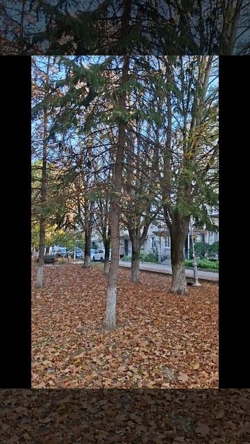 Уходящая осень