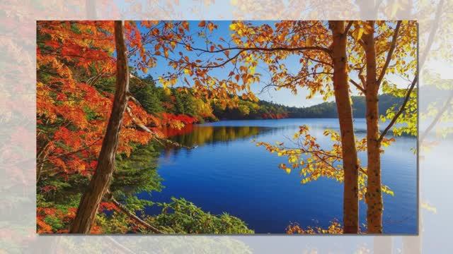 Чудо осень!