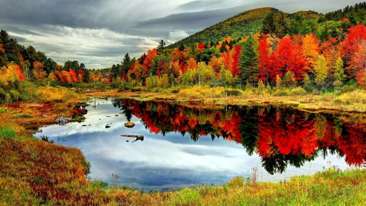 Чудо осень!