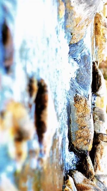 NEEWER FH-05 Magnetic ND Filter