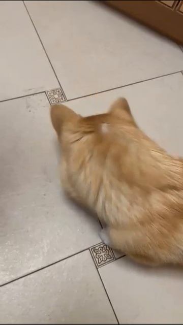 РЭМ_2025-11-18_18-16-54