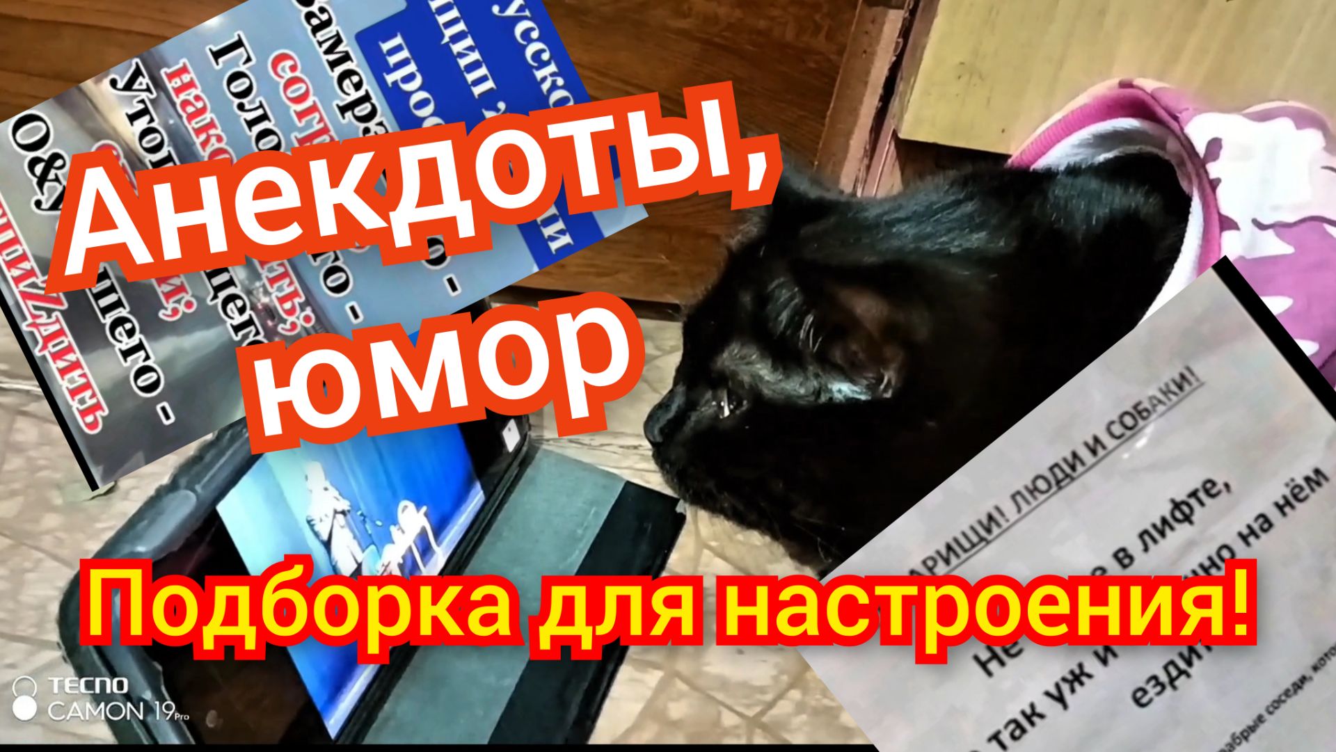 Смех до слёз 😂