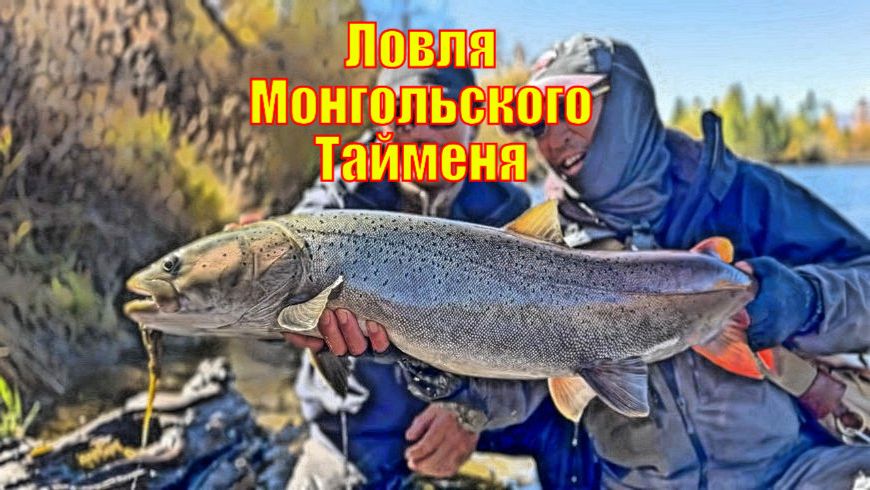 Ловля Монгольского Тайменя на Реке Шишгед