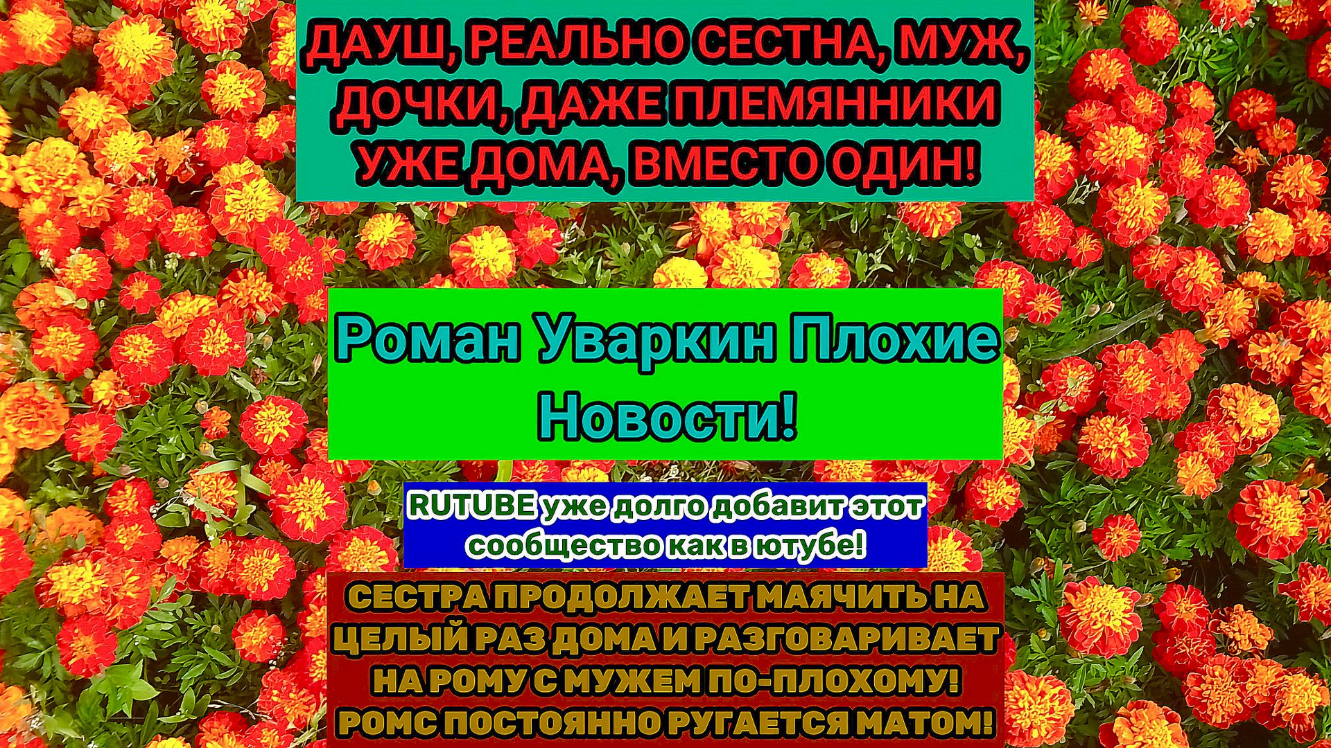 Роман Уваркин уже опять плохие новости! Почему все дома, если его не один? ГДИЕРУ1.