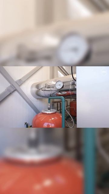 Где 600 килограммов