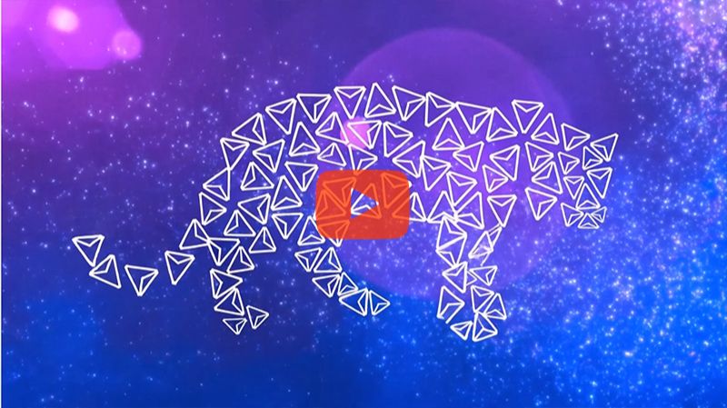 Белые Ягуары - Детский проект