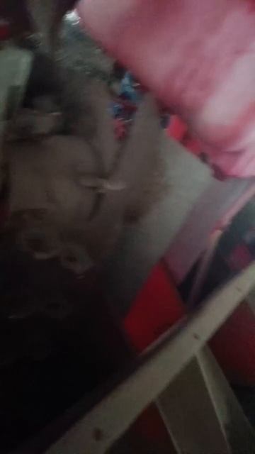 Картофелепосадочная машина 4 рядная Imac экспресс-обзор от Виталия Белоглазова