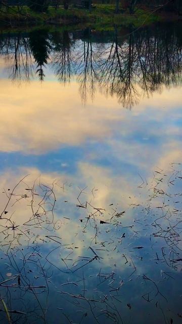 Зеркальная гдадь пруда