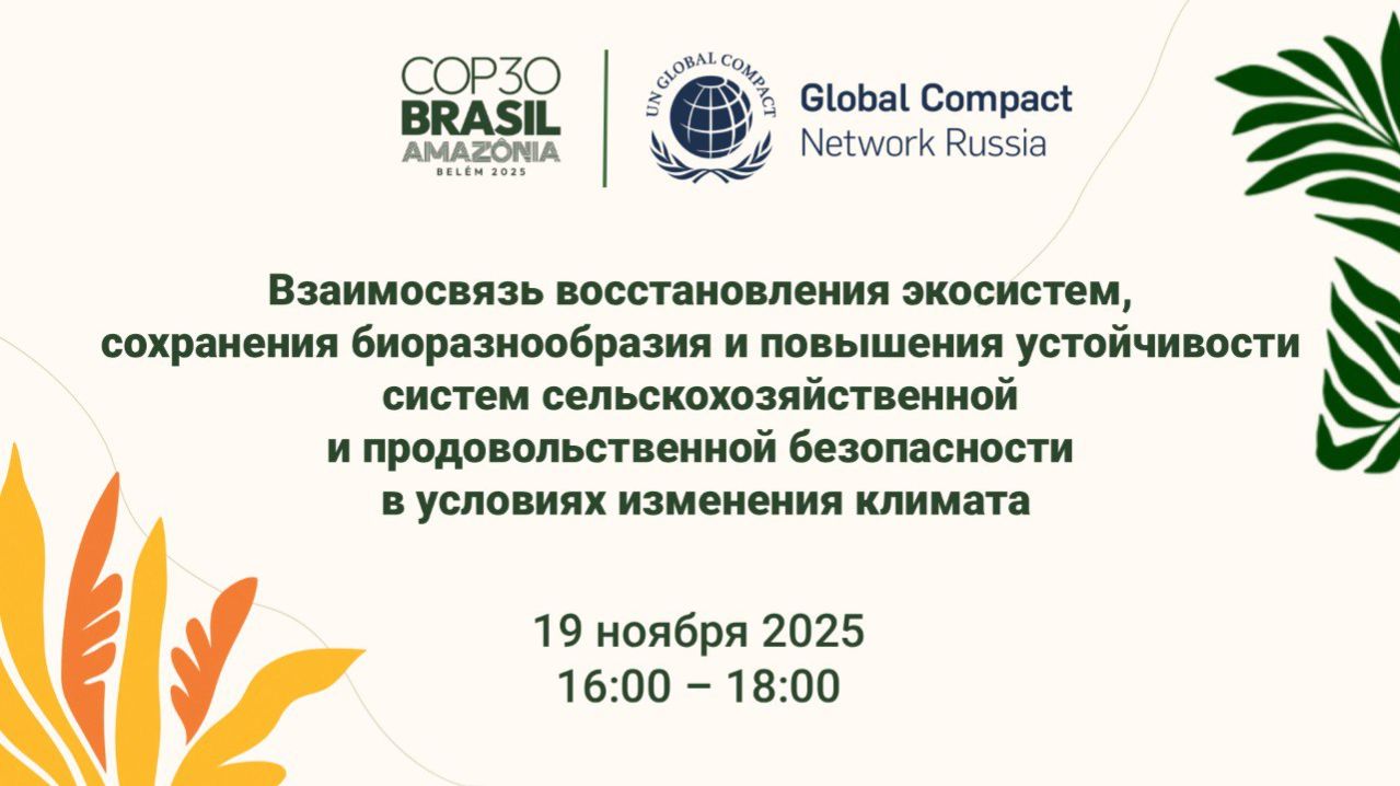 Взаимосвязь восстановления экосистем, сохранения биоразнообразия и повышения устойчивости систем